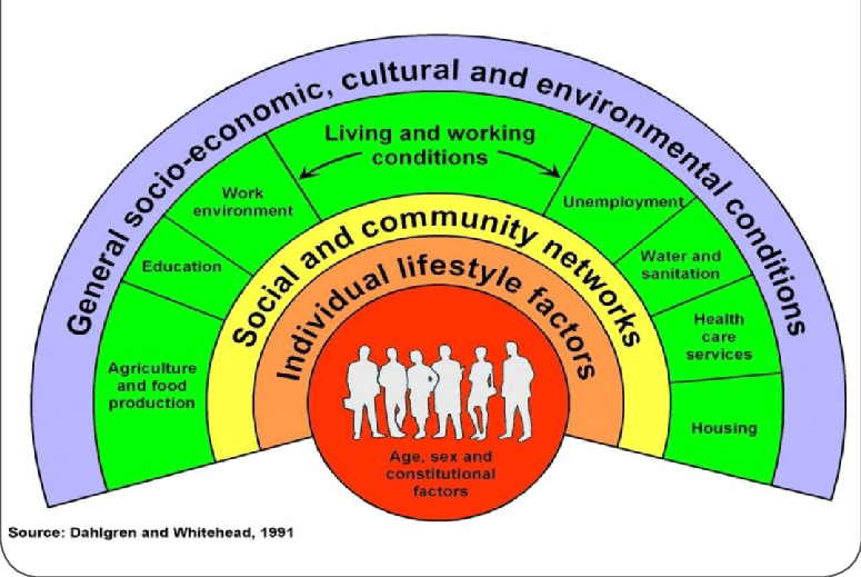 Models of Mental Health – Mental Health Matters