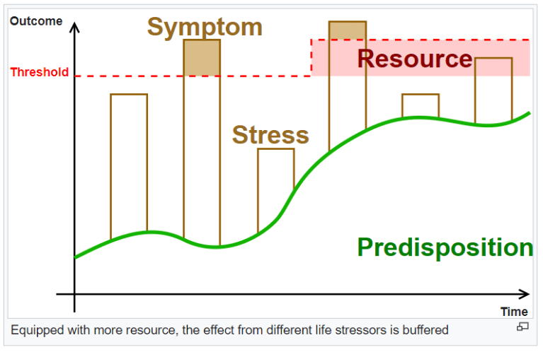 What is the Diathesis-Stress Model? – Mental Health Matters