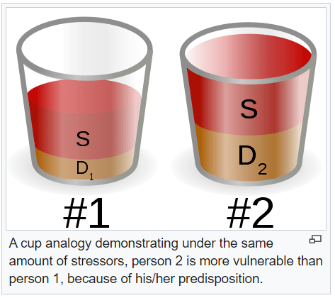 What is the Diathesis-Stress Model? – Mental Health Matters