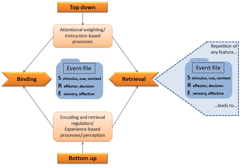 What is Binding and Retrieval in Action Control? – Mental Health Matters